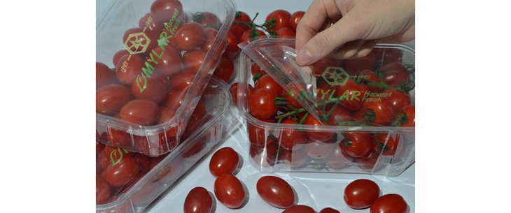 rPET Films on show as DuPont Teijin Films exhibit at Fruit Logistica 2019