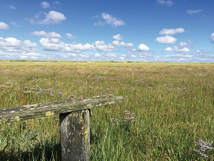The Colourful Remains of the Storm On the largest mainland beach of ...
